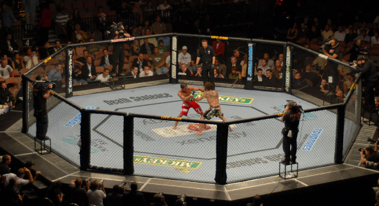 UFC announces Singapore as the venue for its first event in 2014 ...