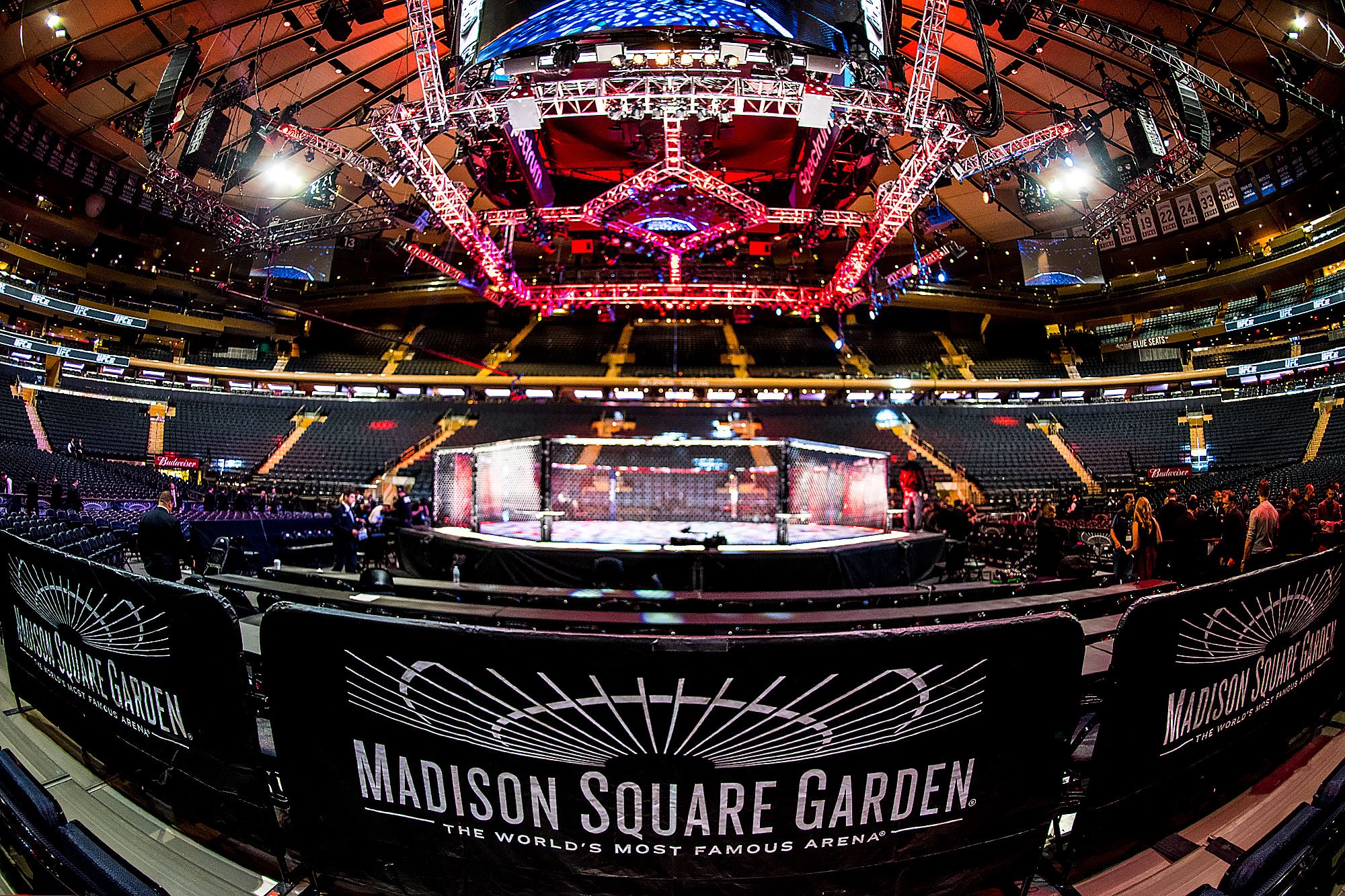 UFC 230 RESULTADOS Cormier x Lewis | SUPER LUTAS