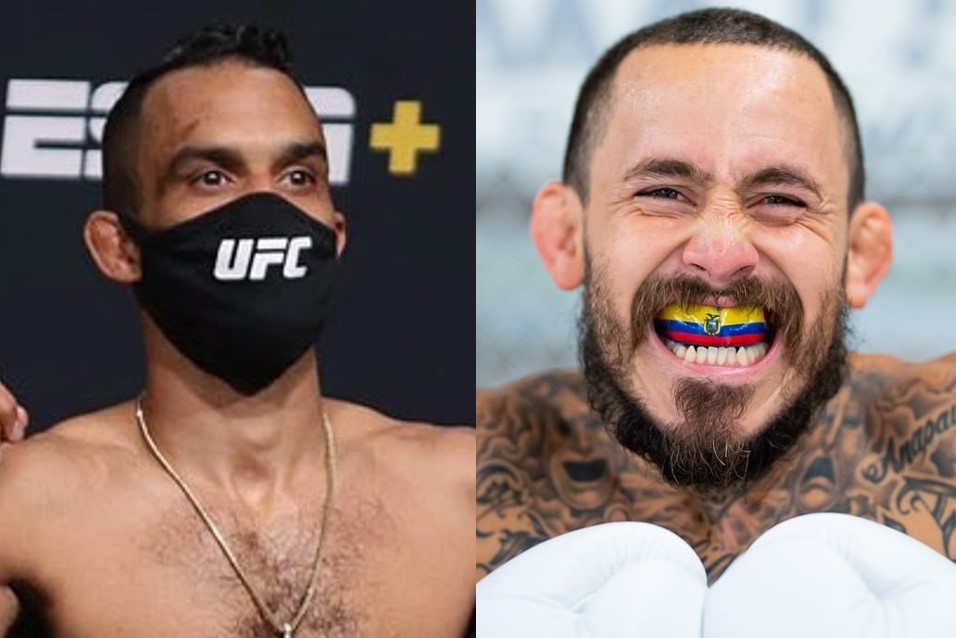 Vídeo: Assista à pesagem e encaradas para o UFC Las Vegas 53. AO VIVO ...