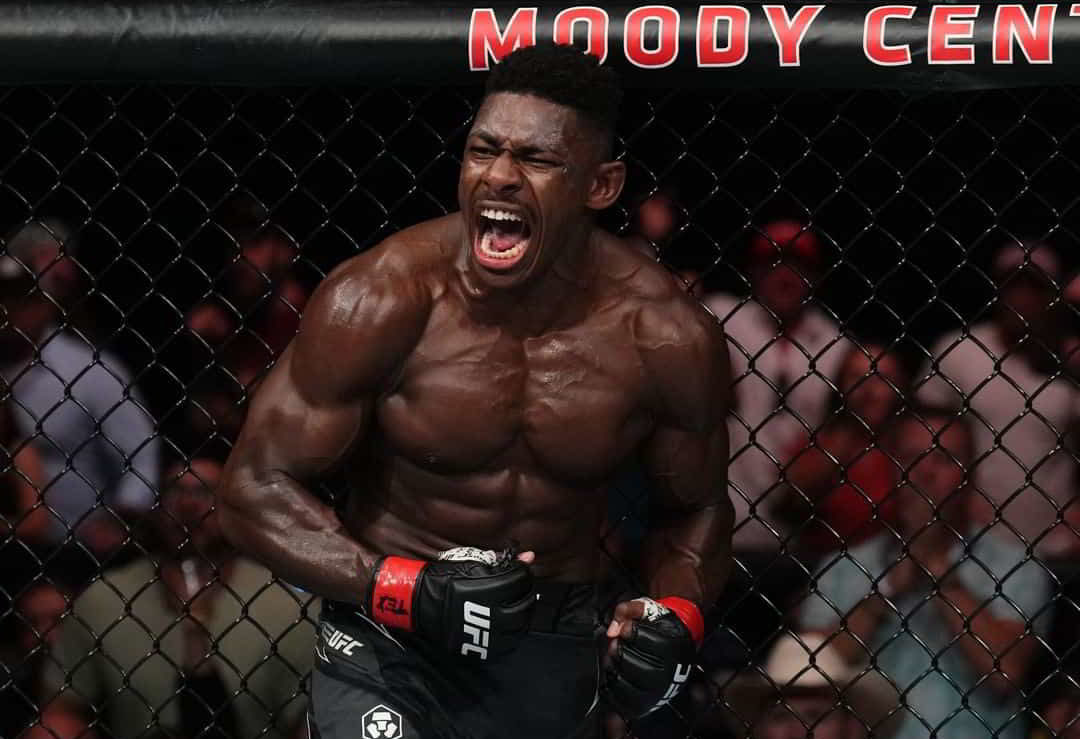 VÍDEO: 'Homem Nocaute' faz jus ao apelido no UFC 307 e se torna o ...