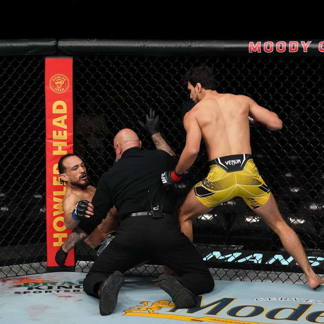 VÍDEO: Assista o nocaute brutal de Ricardo Carcacinha sobre Danny ...