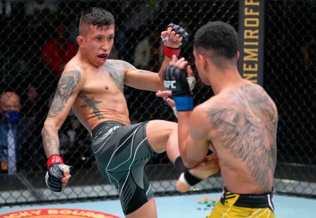 Com Duro Desabafo, Peso Mosca Do UFC Assume Bissexualidade Após ...