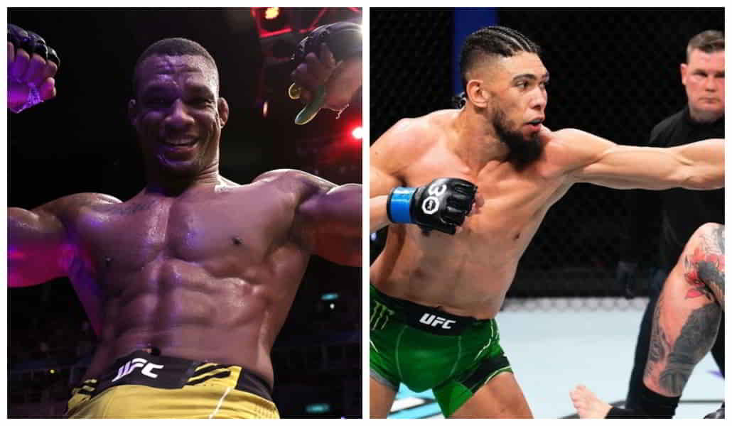 Greatest knockout artists in UFC history | SUPER FIGHTS