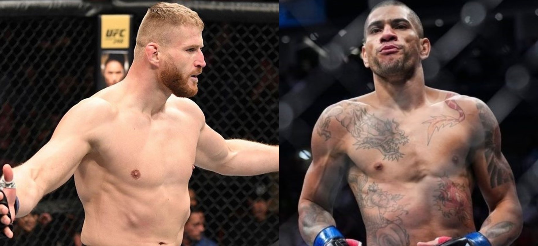 Jan Blachowicz surpreende ao revelar estratégia para luta contra Alex ...