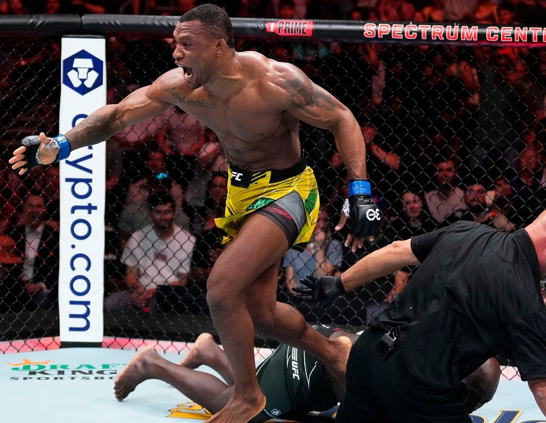 Greatest knockout artists in UFC history | SUPER FIGHTS