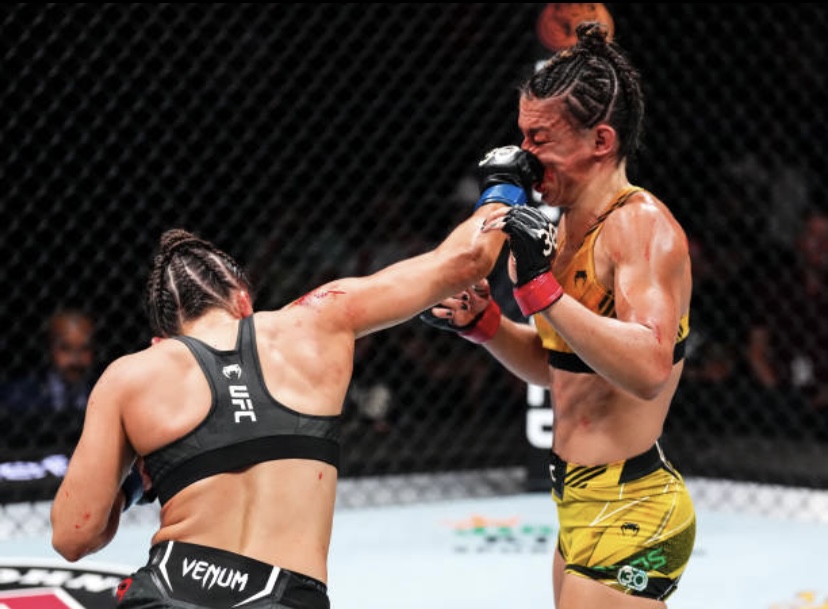 Lutadores reagem a batalha sangrenta entre Amanda Ribas x Maycee Barber ...