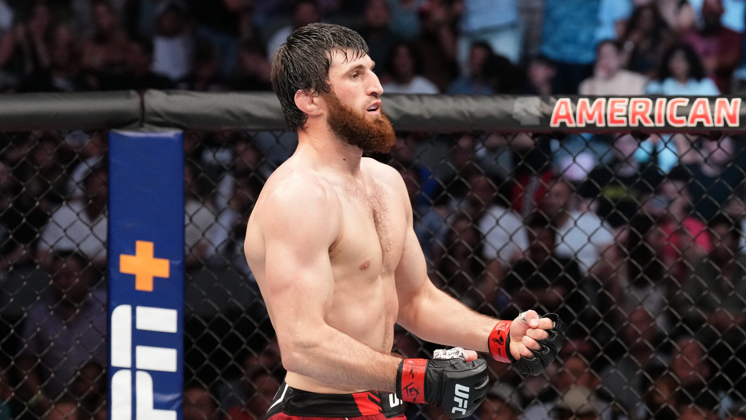 Ankalaev esbanja confiança e acredita que 'não será tocado' por Poatan ...