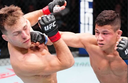 UFC Lista Lutadores Que Nunca Perderam | SUPER LUTAS