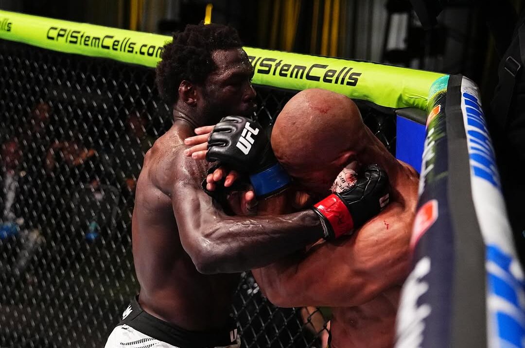 VÍDEO: Assista O Nocaute Brutal De Jared Cannonier Sobre Gregory ...