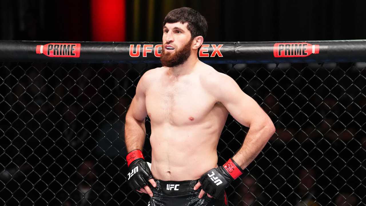 Ankalaev Admite Ter Cogitado Abandonar MMA Após Primeira Derrota No UFC ...