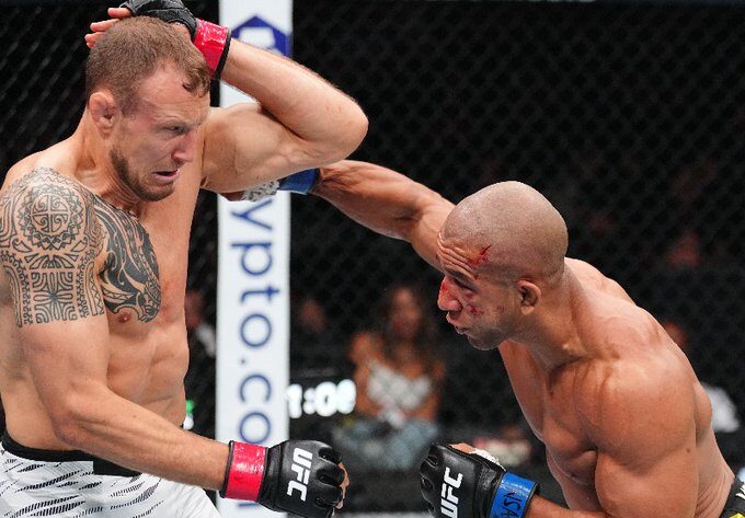 Gregory Robocop Acerta 'nocautaço' Com Cruzado Letal Sobre Jack ...