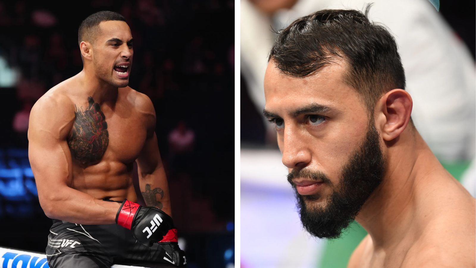 UFC Lands in Perth and Brings Important Duel for Alex Poatan's Category ...