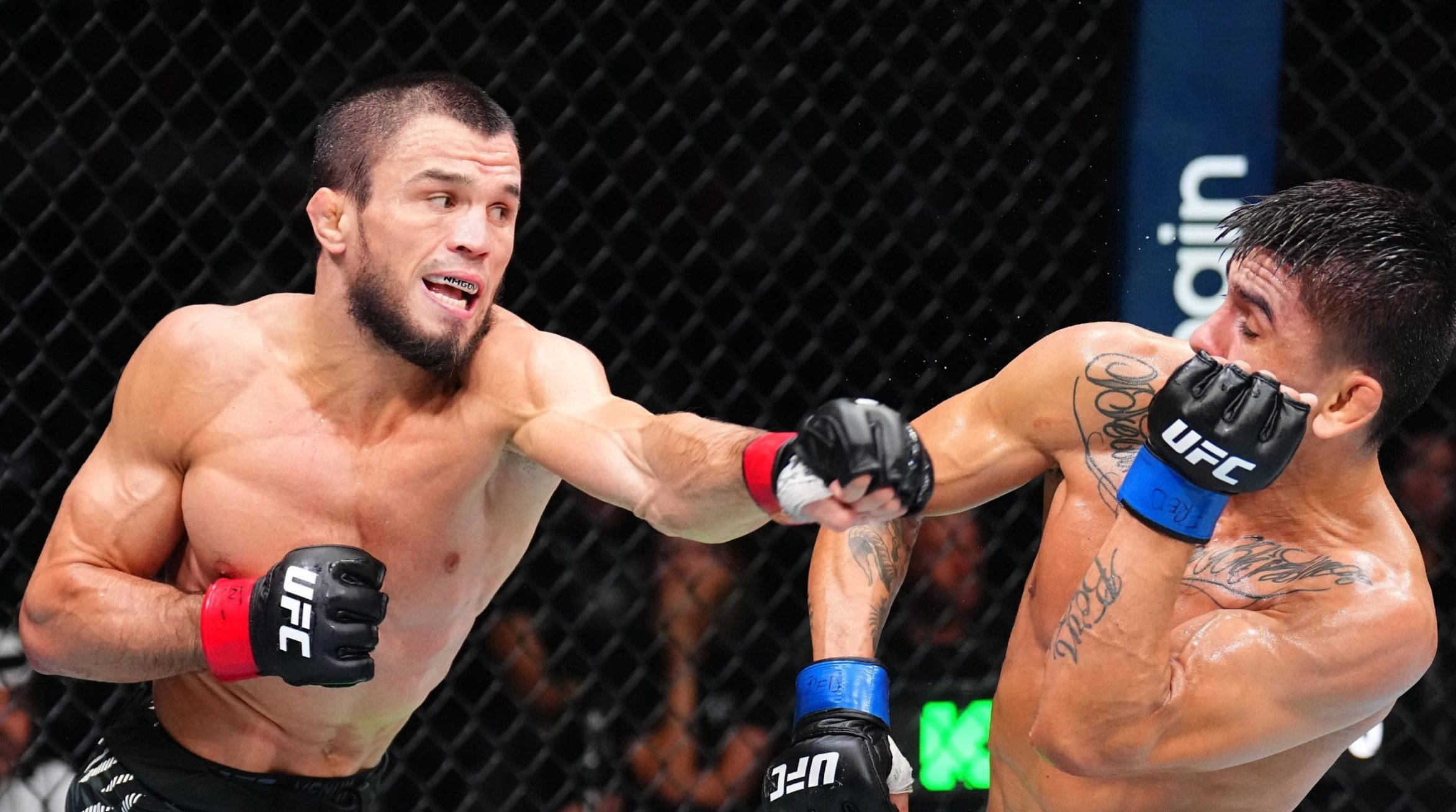 Primo De Khabib Domina Algoz De José Aldo No UFC 321 E Se Aproxima De ...