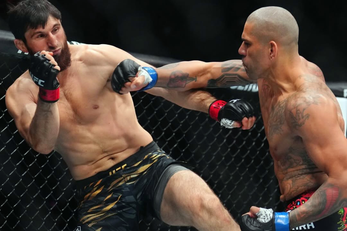 Magomed Ankalaev Volta Aos Treinos Após Ser Nocauteado Por Alex Poatan ...