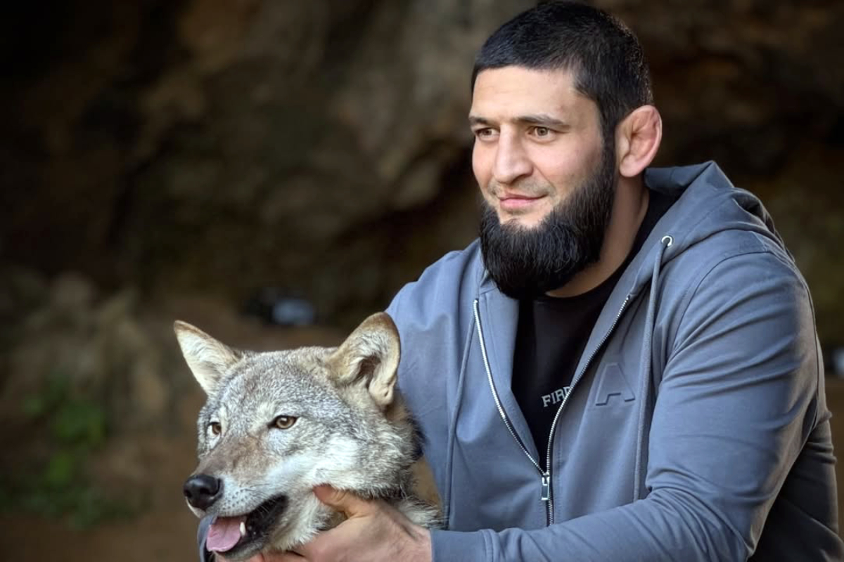 Khamzat Chimaev Recua Ao Falar Sobre Desafiante Número Um Do UFC: 'Nos ...