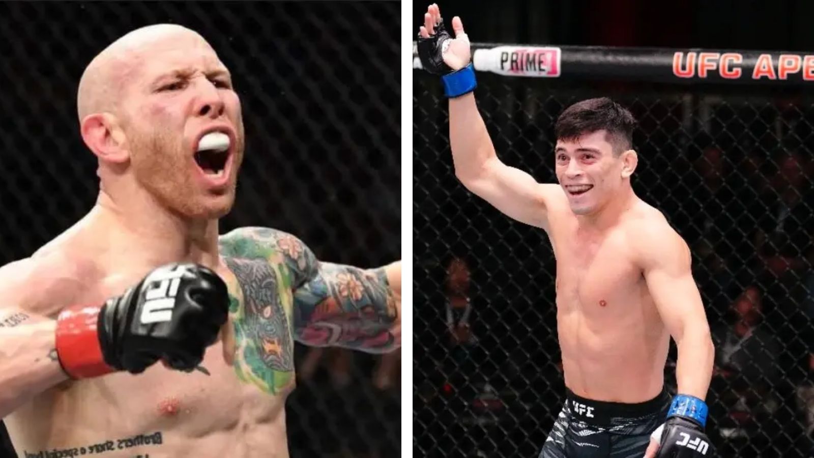 Check out SUPER LUTAS' predictions for UFC Vegas 114, featuring Josh ...